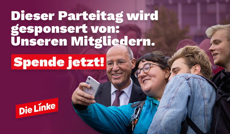 Potsdamer Parteitag: Die Linke